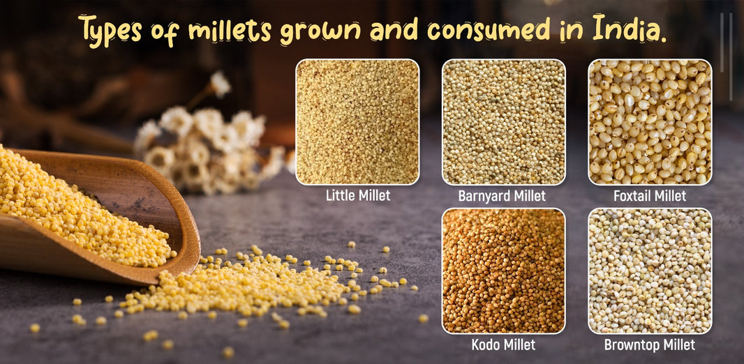 Types of Millets Grown and Consumed in India | A Guide to Superfood Grains