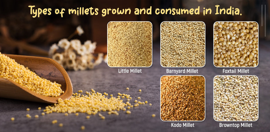 Types of Millets Grown and Consumed in India | A Guide to Superfood Grains